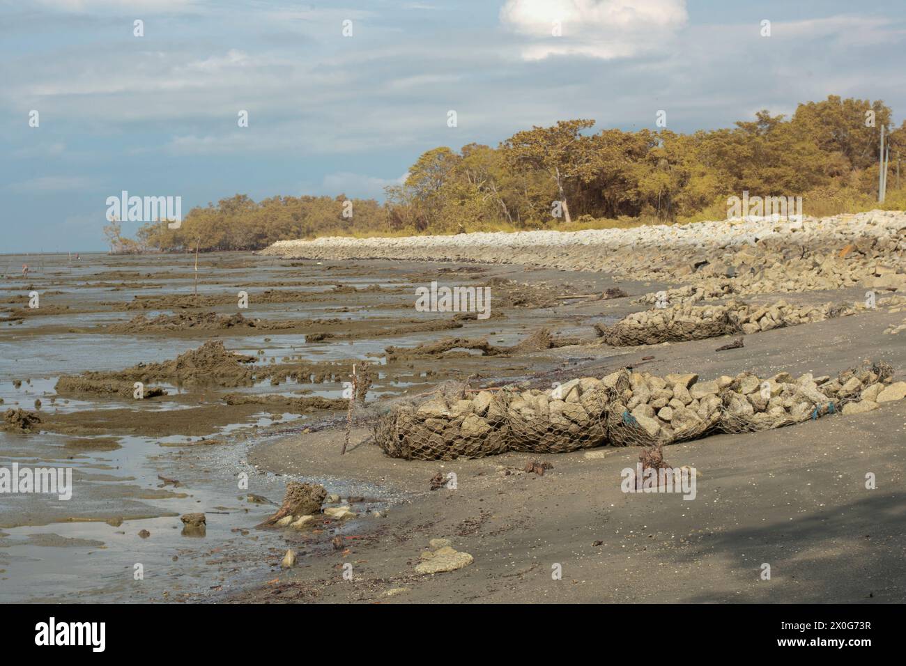 infrared image of the swampy mud beach environment at the low-tide ...