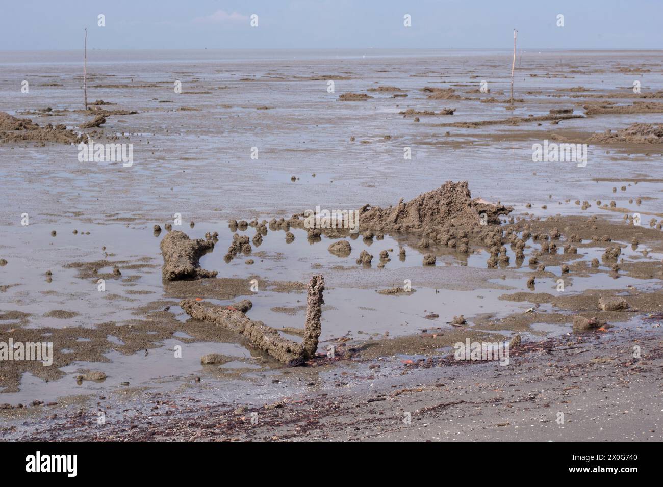 infrared image of the swampy mud beach environment at the low-tide ...