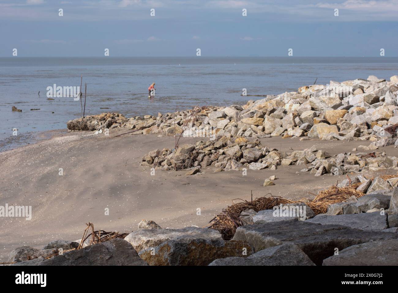 infrared image of the swampy mud beach environment at the low-tide ...