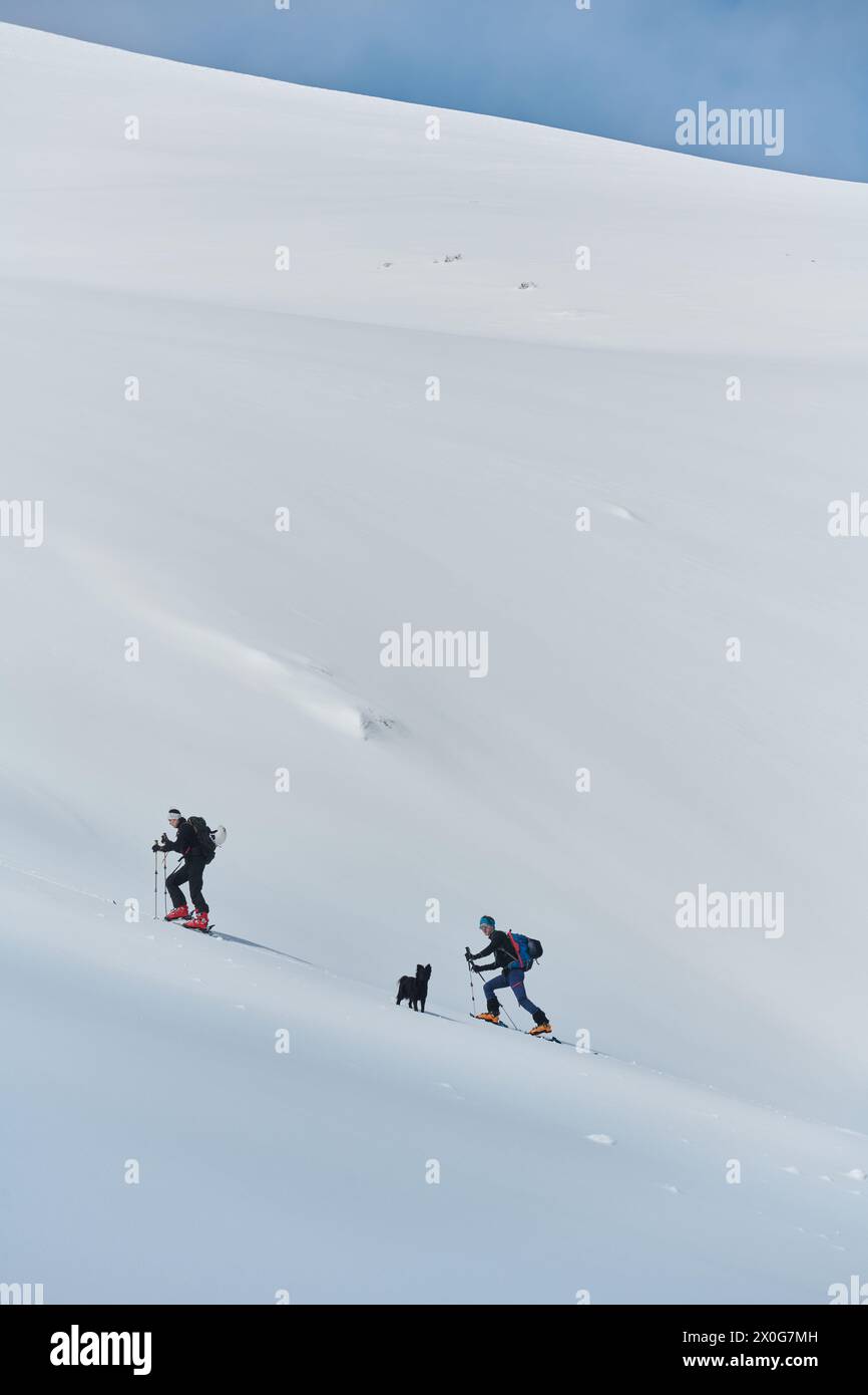 Alpine Ascent: Two Professional Skiers Conquer Snowy Peaks as a ...