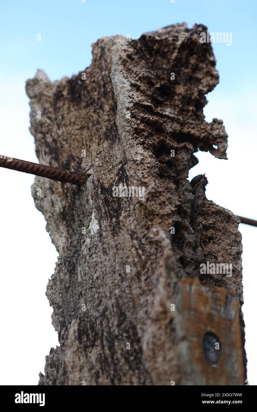 Steel Rebar Post For Fence at Jennifer Wilkins blog