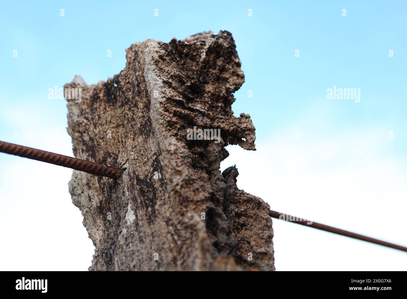 Steel Rebar Post For Fence at Jennifer Wilkins blog