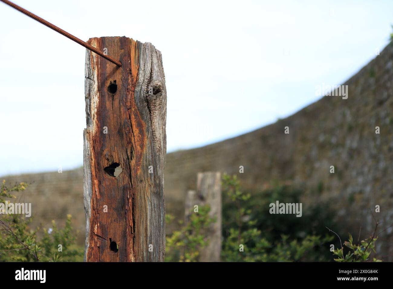Weathered wooden post supporting metal rebar forming a fence Stock ...
