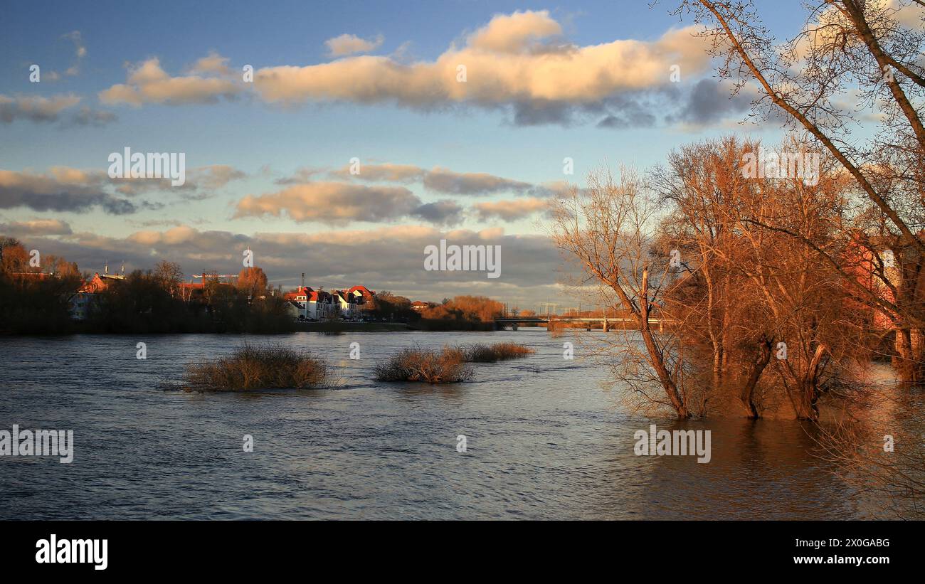 High water levels of the river Elbe in Magdeburg, Germany Stock Photo ...