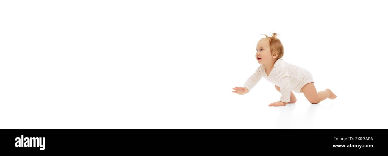 Happy, curious little baby girl, child with two ponytails crawling ...