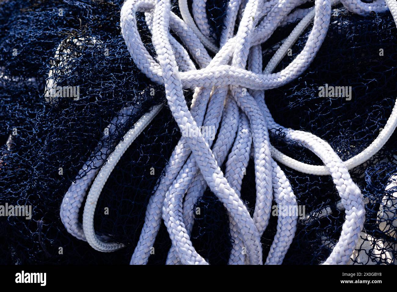 Professional fishing hi-res stock photography and images - Alamy