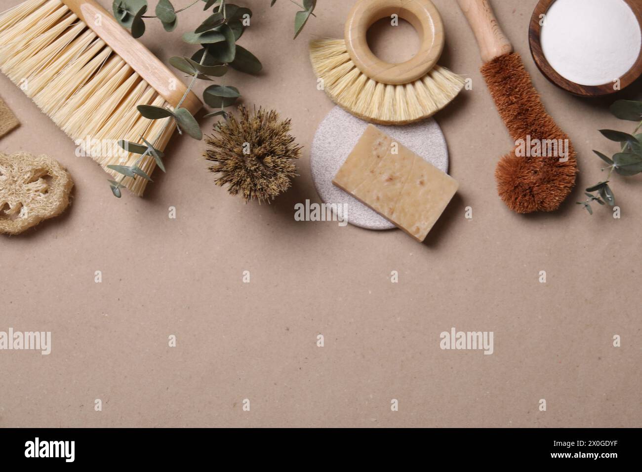 Cleaning brushes, baking soda, soap, loofah and eucalyptus leaves on ...