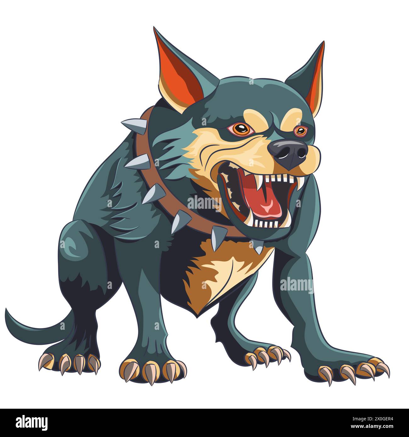 Angry aggressive dog in a collar with spikes and exposed fangs isolated ...