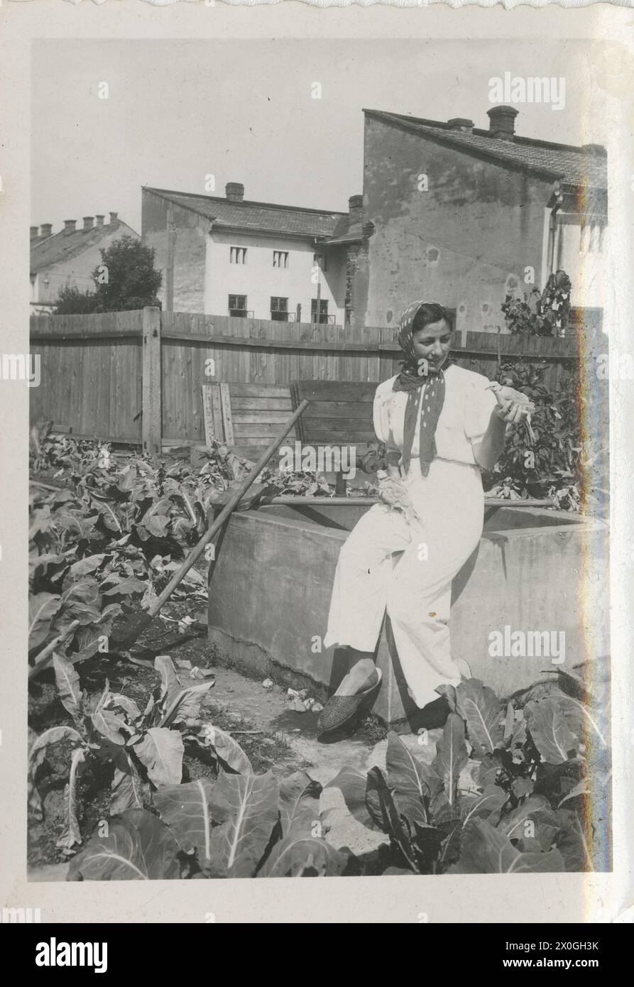 Old woman dotted picture hi-res stock photography and images - Alamy