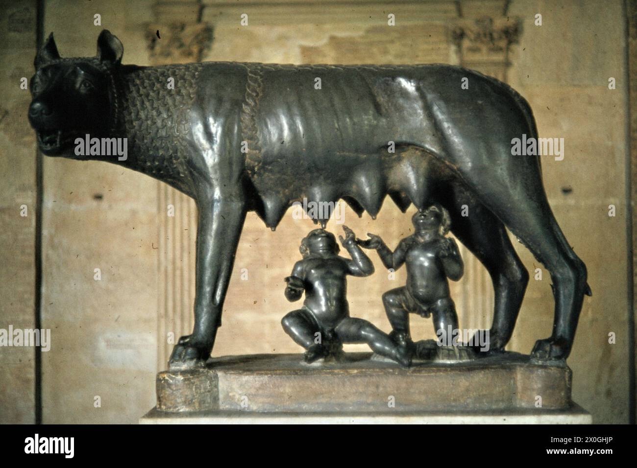 The statue of the Capitoline she-wolf with the twins Romulus and Remus ...