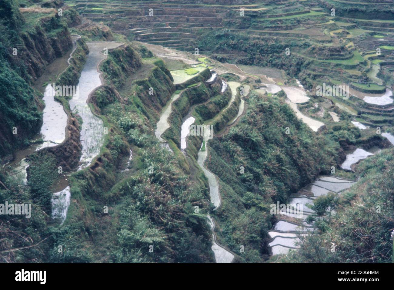 Rice terrace landscape in Banawe Stock Photo - Alamy
