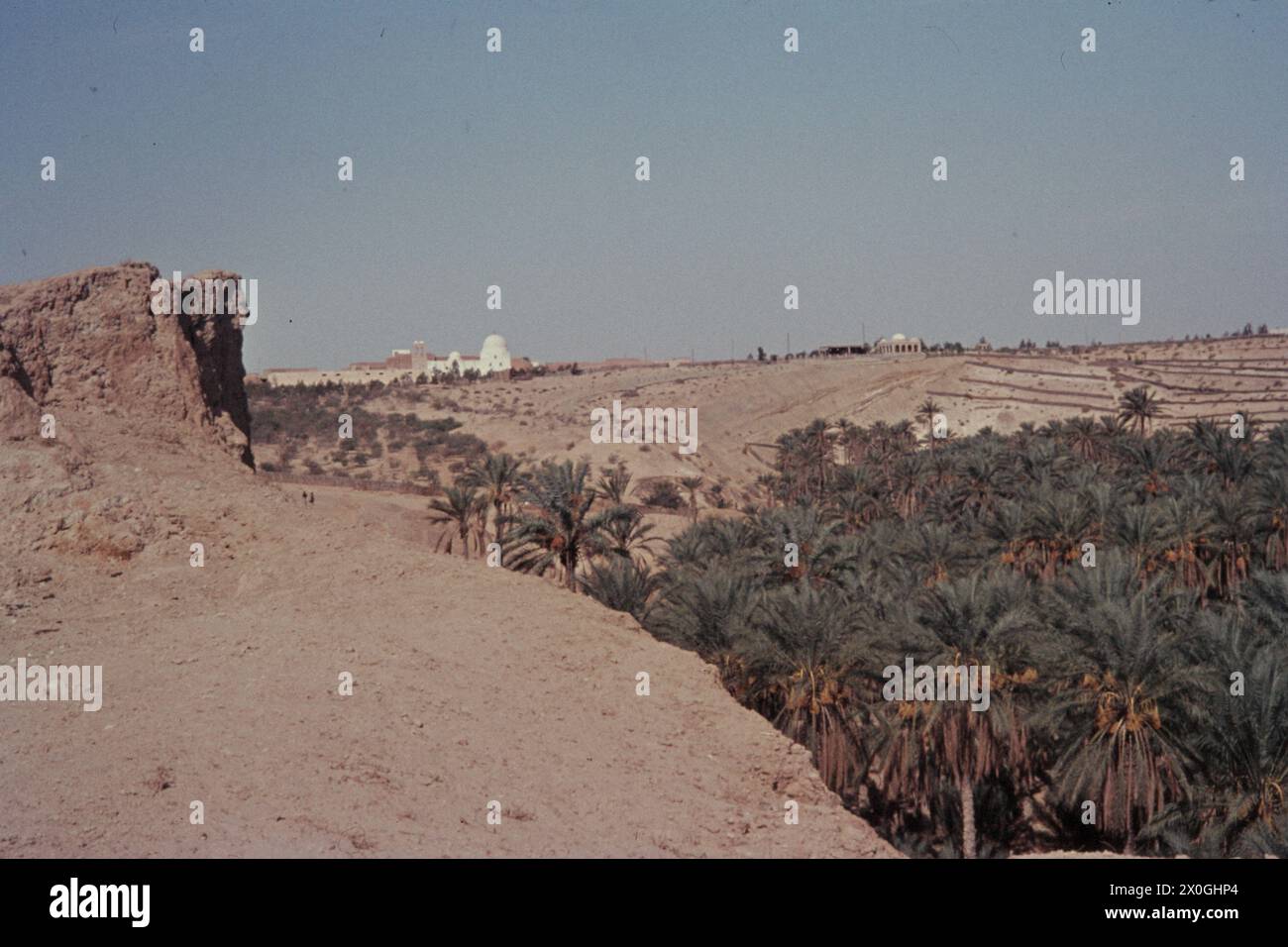 Nefta oasis hi-res stock photography and images - Alamy