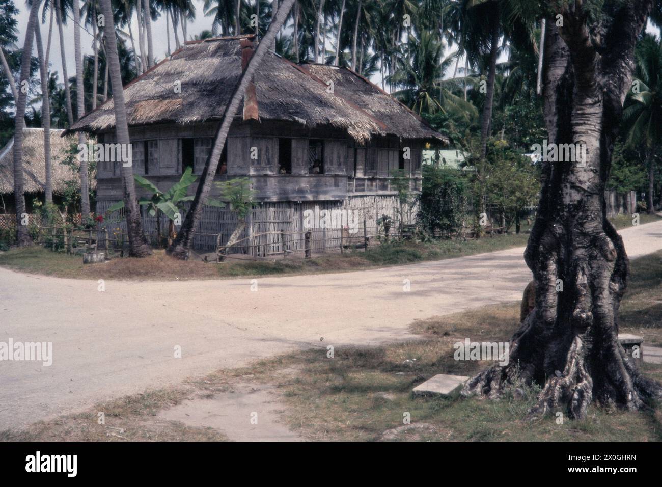 A street in front of a house in a village on the island of Bohol ...