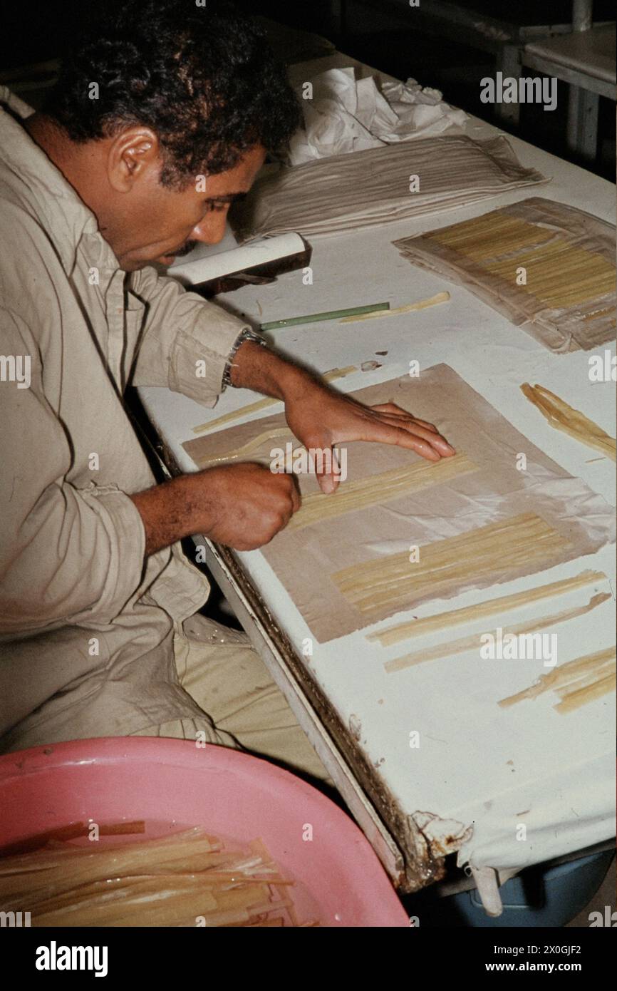 A man works with papyrus in the Papyrus Institute of Cairo. [automated ...
