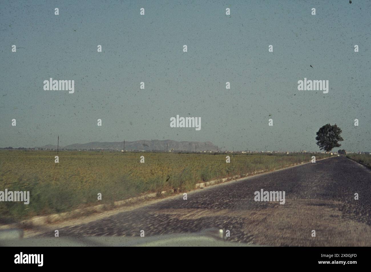 Endless rice fields (Huerta) behind Valencia shortly before Sueca ...