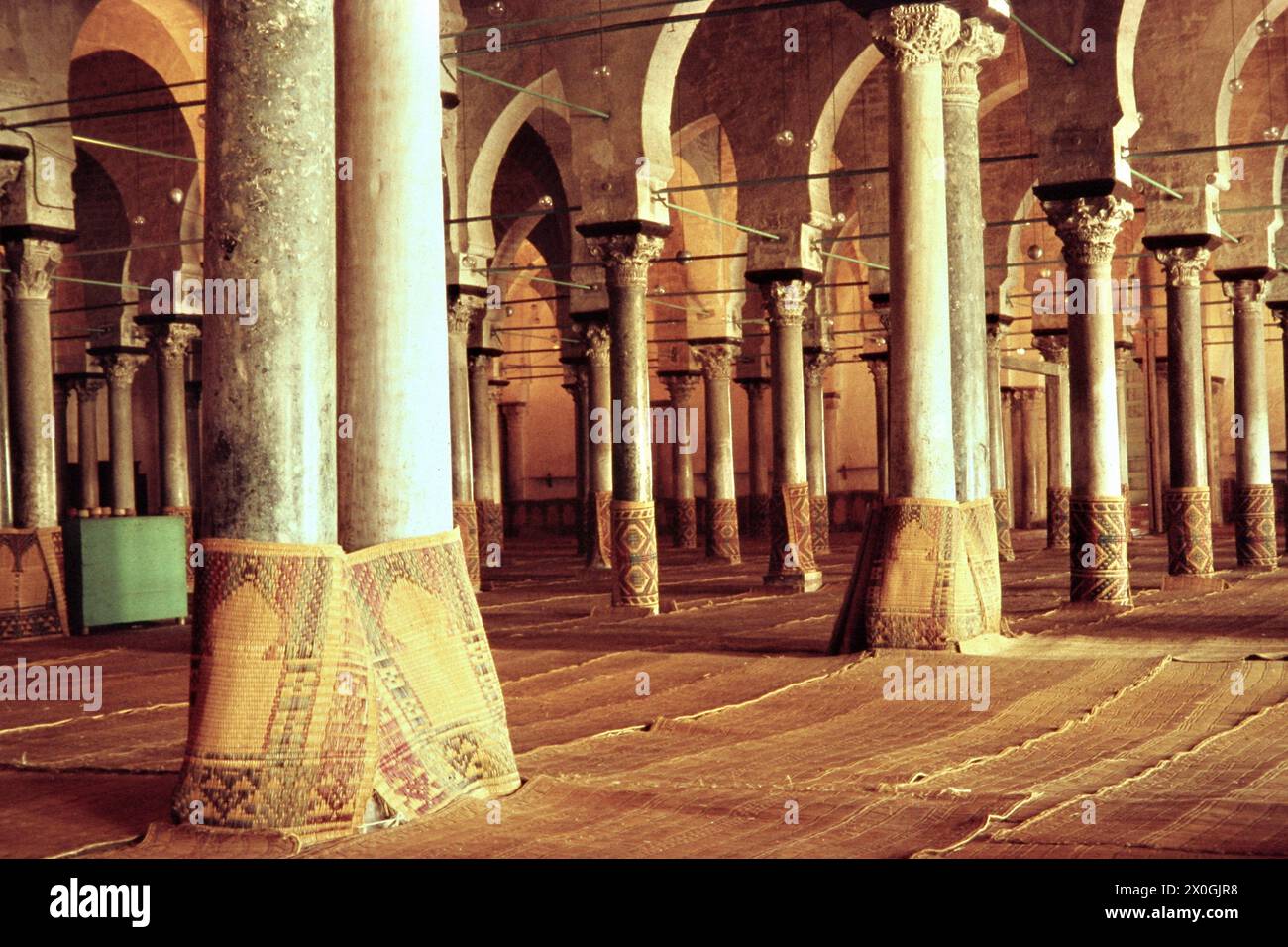 Prayer hall of the Sidi Oqba mosque with carpets and columns ...