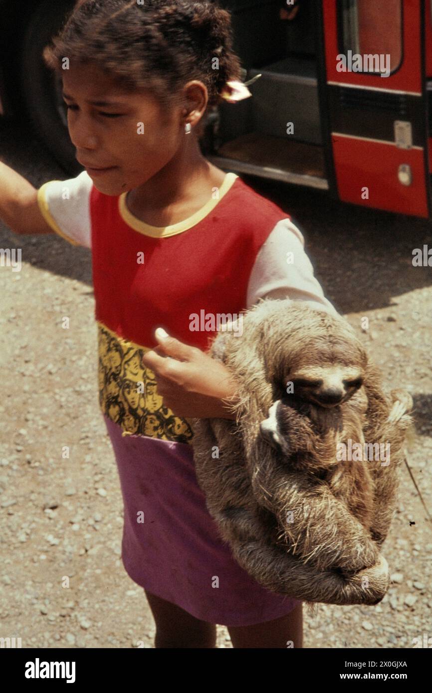 A girl holds a sloth in her arms at Madden Dam in Panama. [automated ...