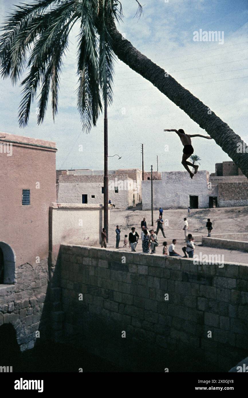 A boy jumps from a palm tree into a Roman swimming pool in Gafsa ...