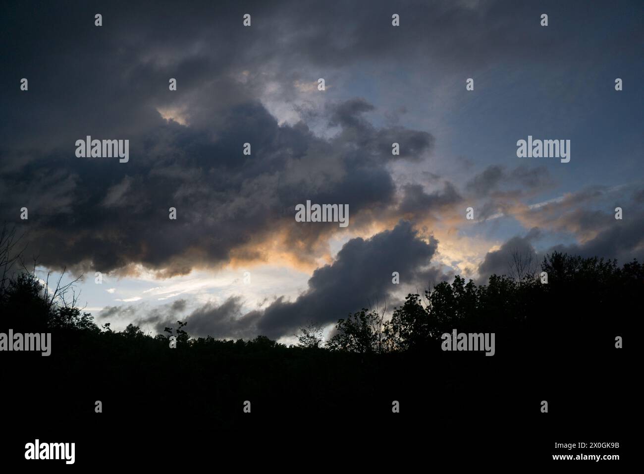 Cloudy sunset skies over tree tops Stock Photo - Alamy
