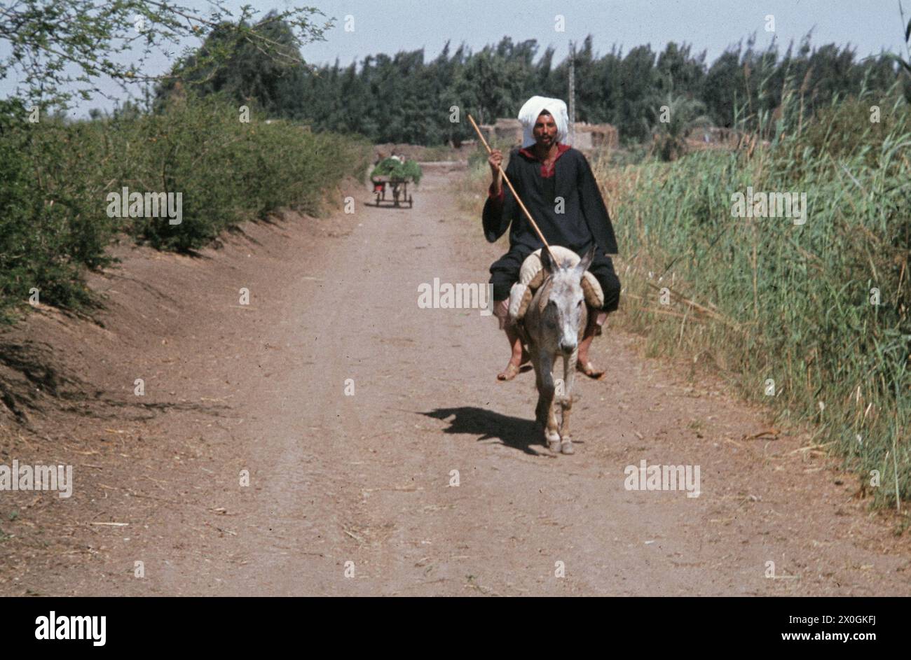 Donkey rider hi-res stock photography and images - Alamy