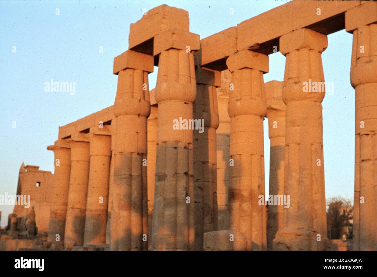 Papyrus bundle columns of the Great Pylon of the Temple of Luxor in the ...