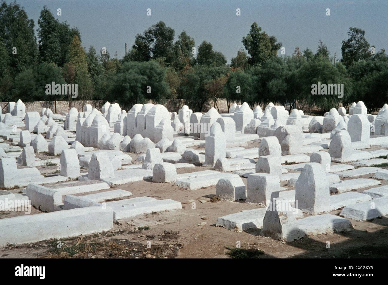 White graves in the holy cemetery at the Great Mosque. [automated ...
