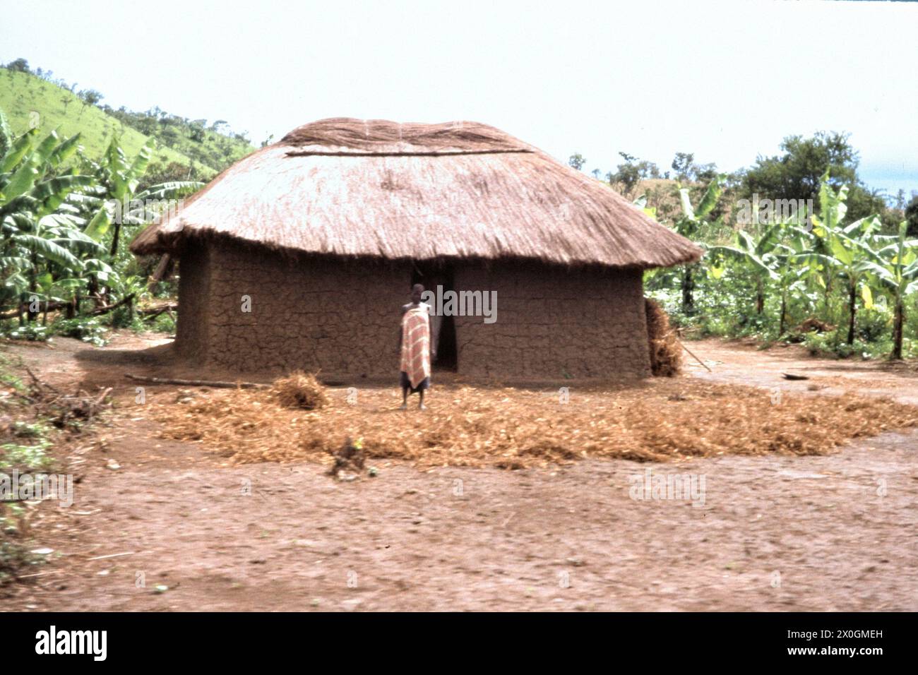 Nyabira hi-res stock photography and images - Alamy