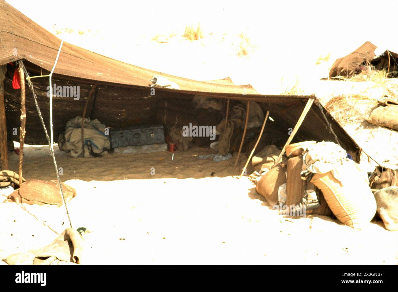 The tent of a Bedouin family with belongings in the desert off El Qued ...