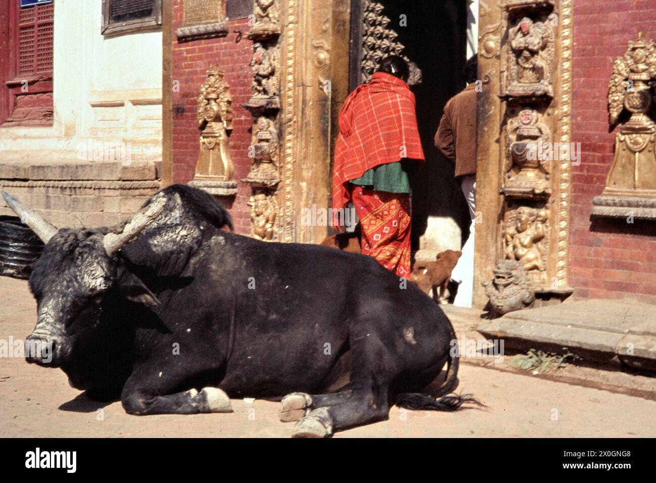 A holy Nandi bull outside the Golden Gate of the Royal Palace in ...