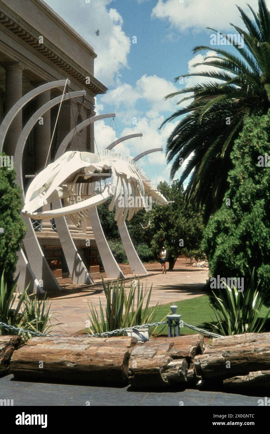 A whale skeleton in front of the Transvaal Museum in Pretoria ...