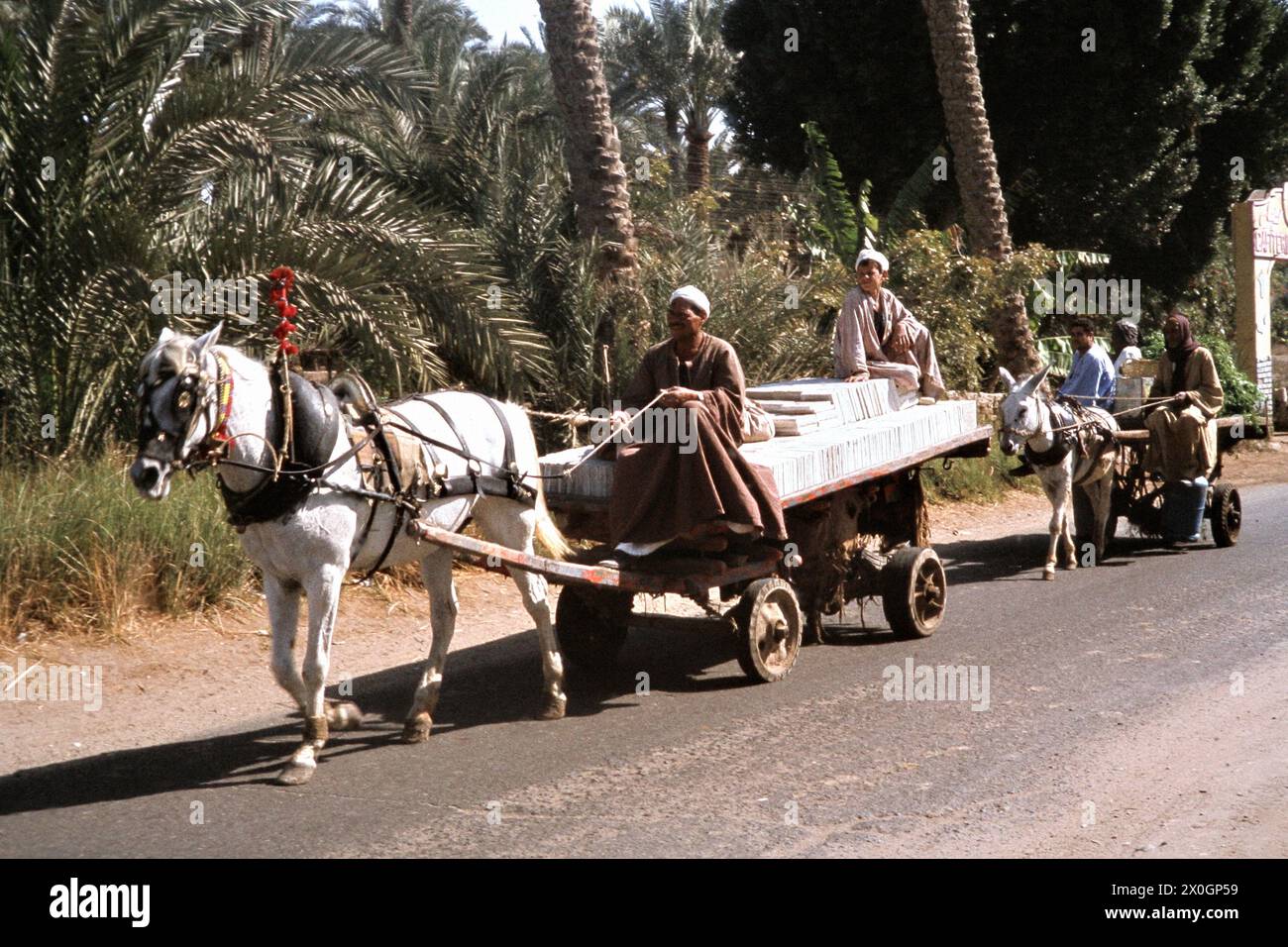 A loaded horse-drawn carriage and a cart pulled by a mule on a street ...
