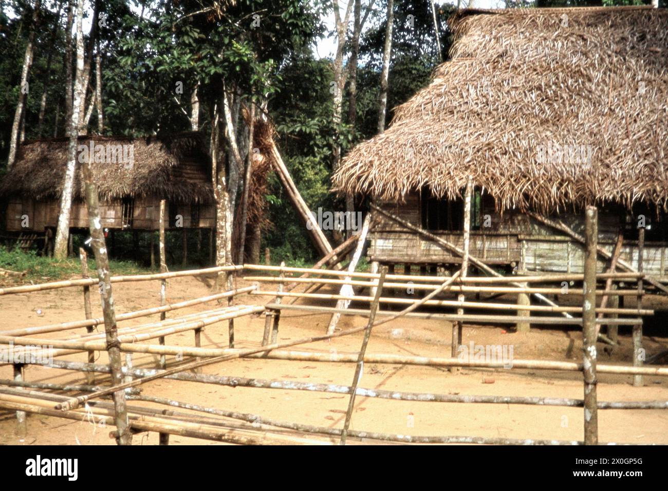 A hut with fence in a village in the middle of the rainforest of the ...