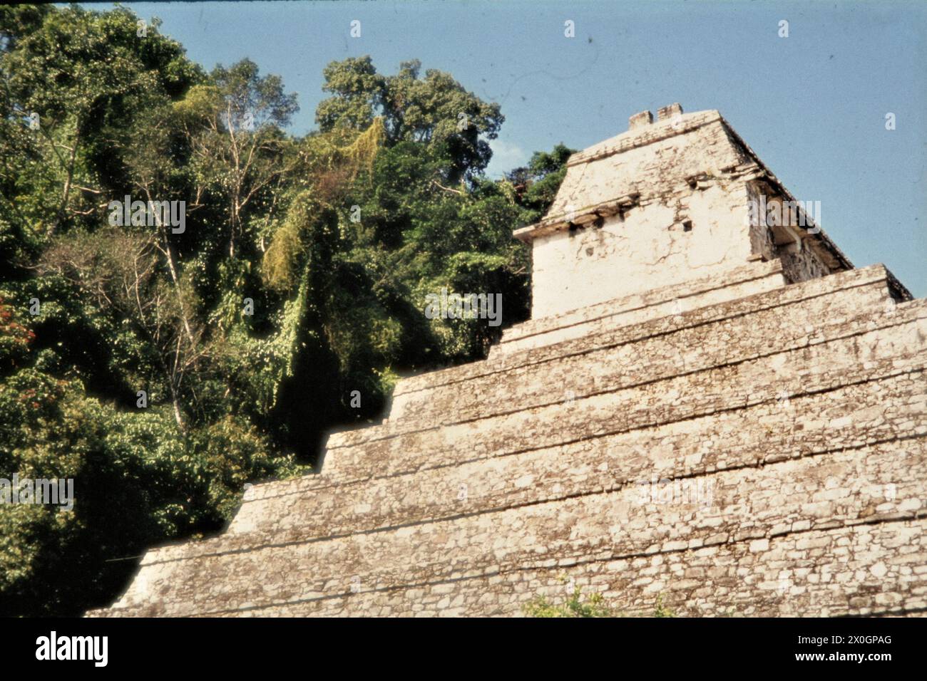 View from the southeast to the temple of the inscriptions in the former ...