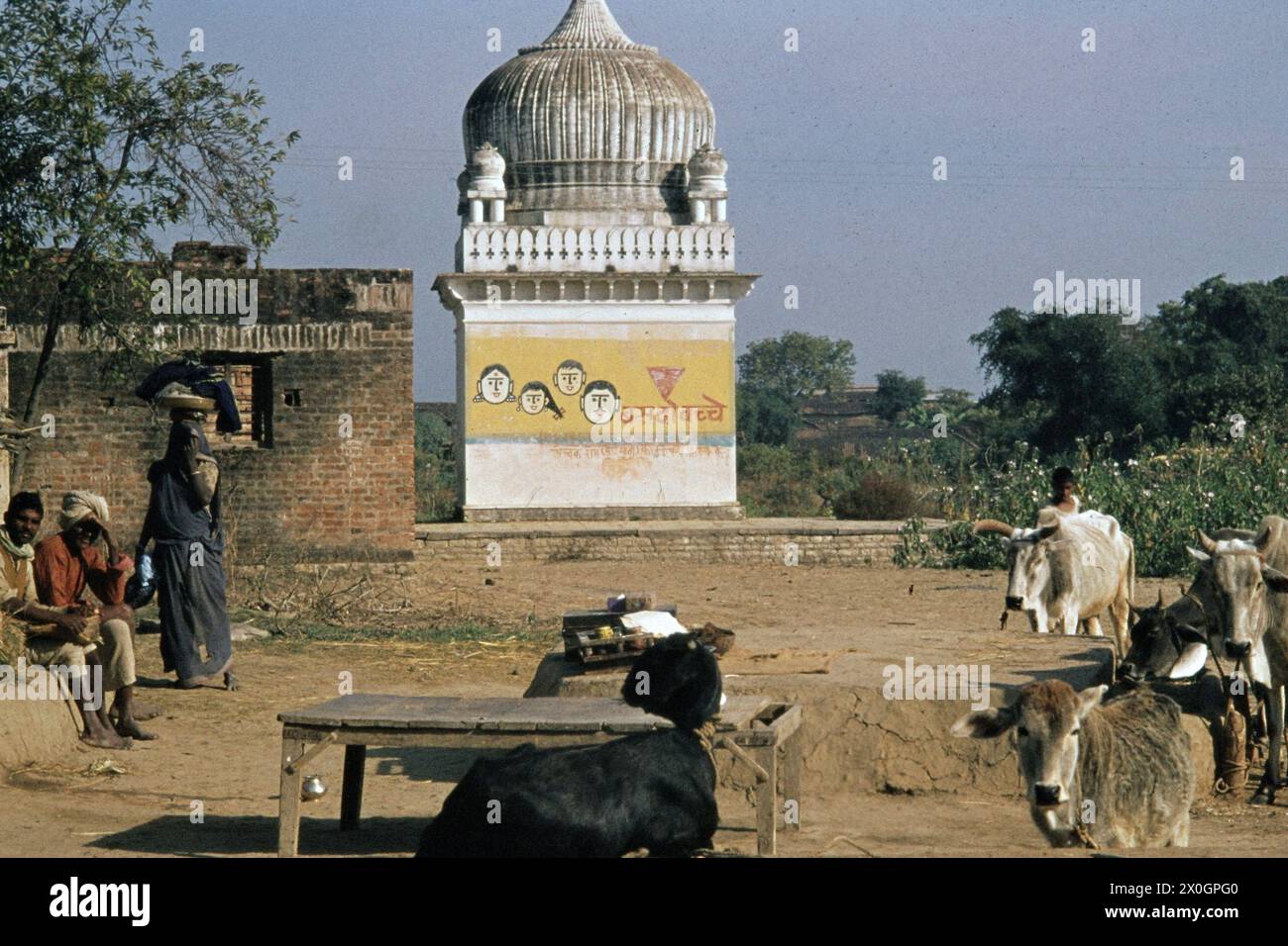 Women, men and holy cattle in front of an advertisement for family ...