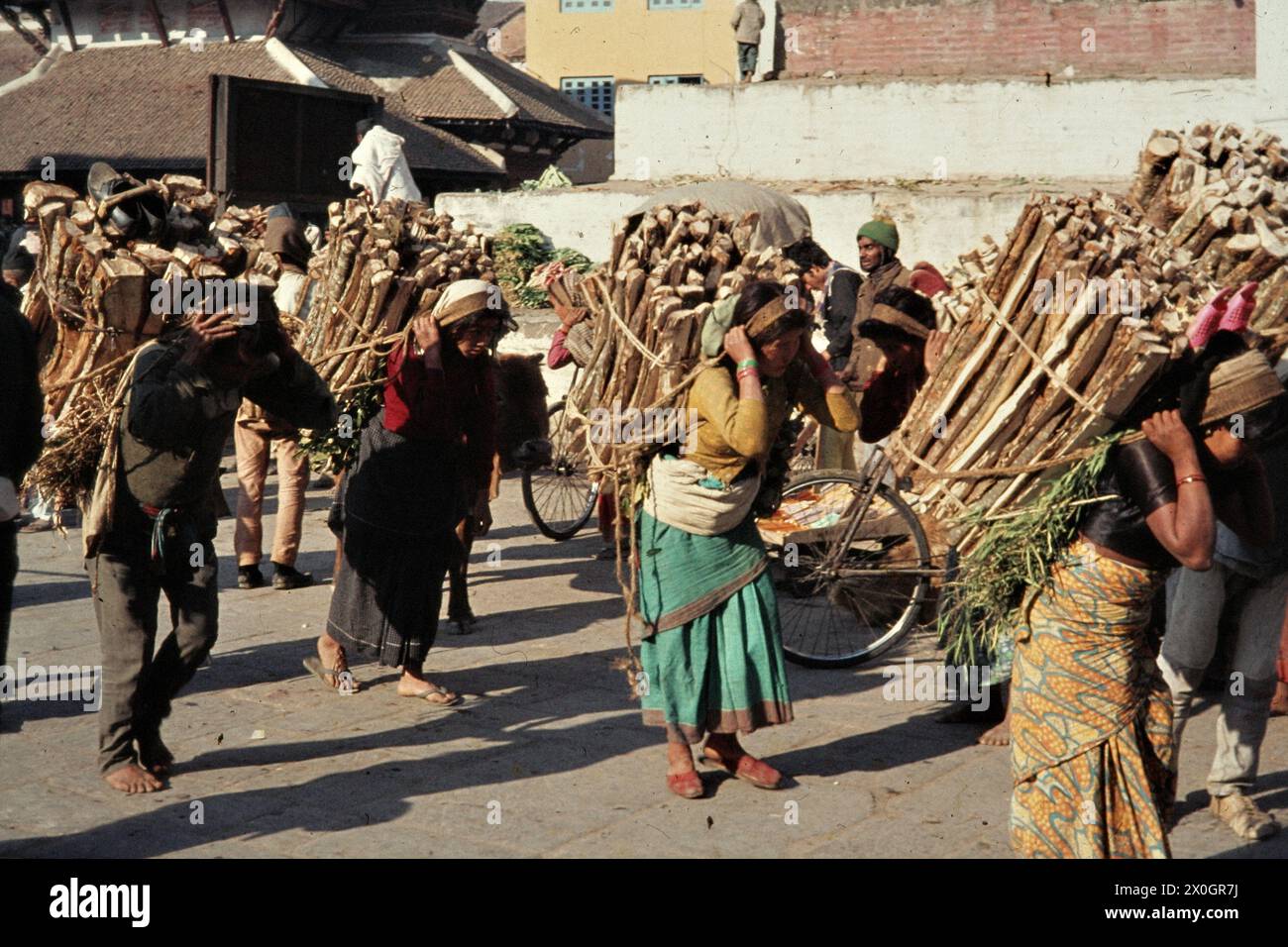 A group of wooden beams with bundles of wood on their backs in front of ...