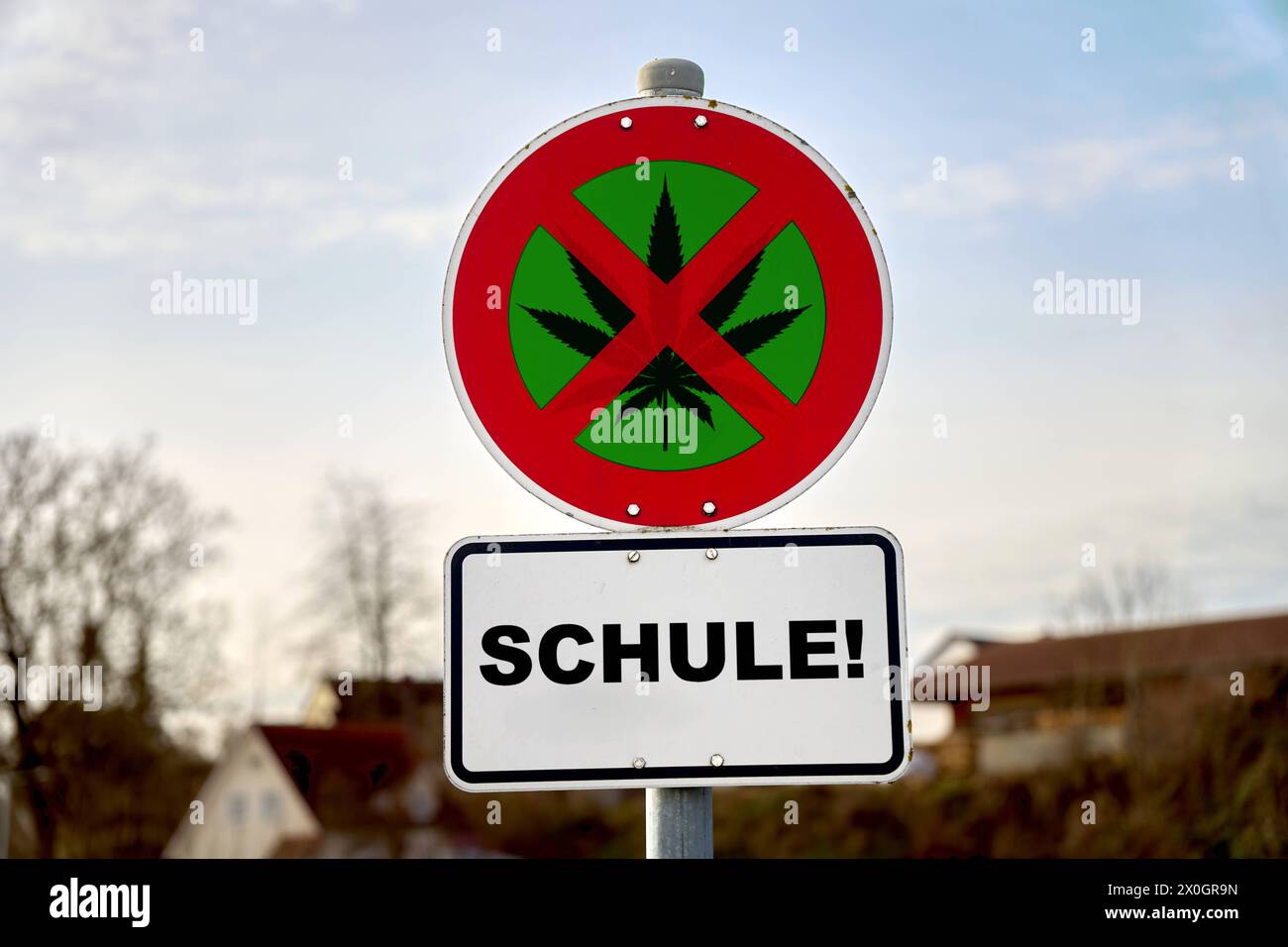 12 April 2024: Cannabis prohibition sign in front of a school. Sign ...
