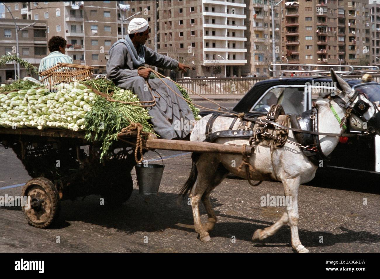 A donkey pulls a car filled with vegetables over a street in Old Cairo ...