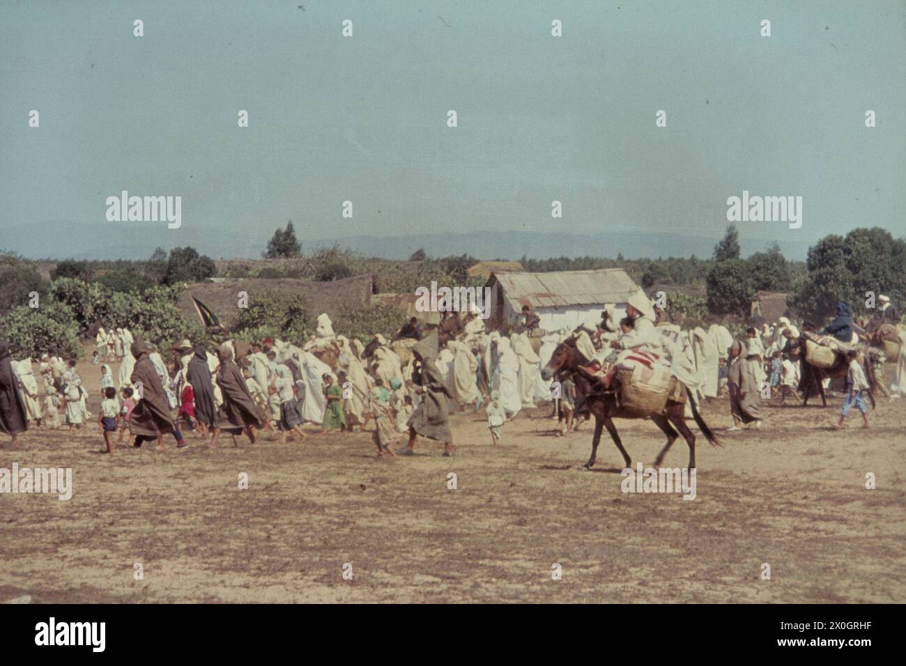 A crowd with the green flag of the Prophet during the funeral of a ...