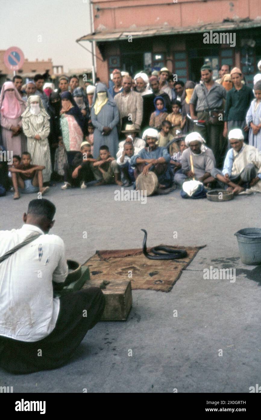 Snake charmers entertain people in the central market place Djemaa el ...