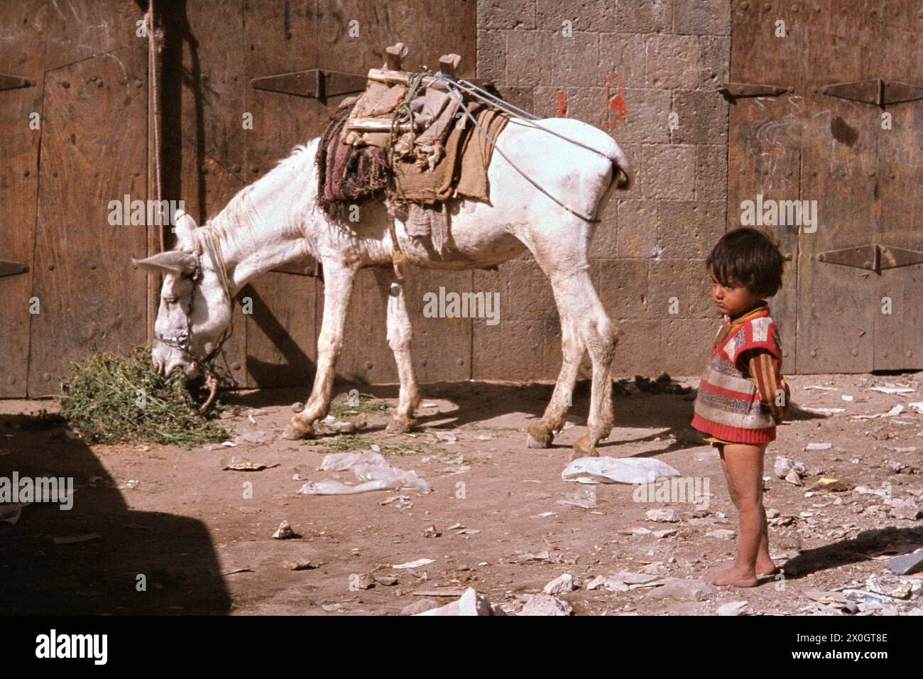 Children the 1980s donkey hi-res stock photography and images - Alamy