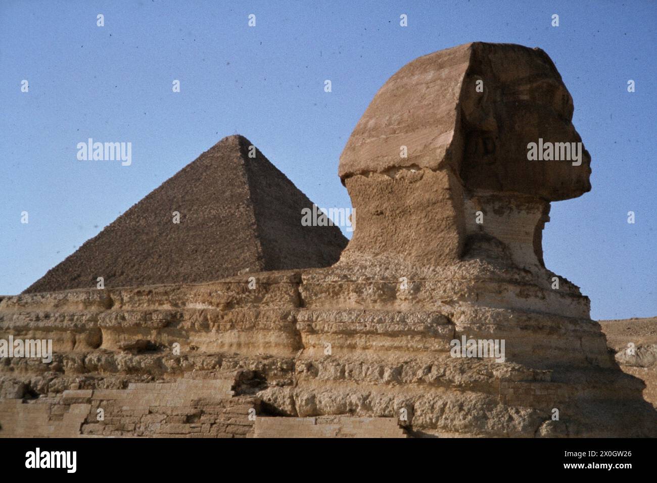 The sphinx in front of a pyramid of Giza. [automated translation] Stock ...