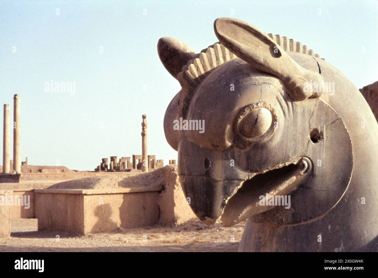 Head of a griffin in the ruins of the palace complex in Persepolis ...
