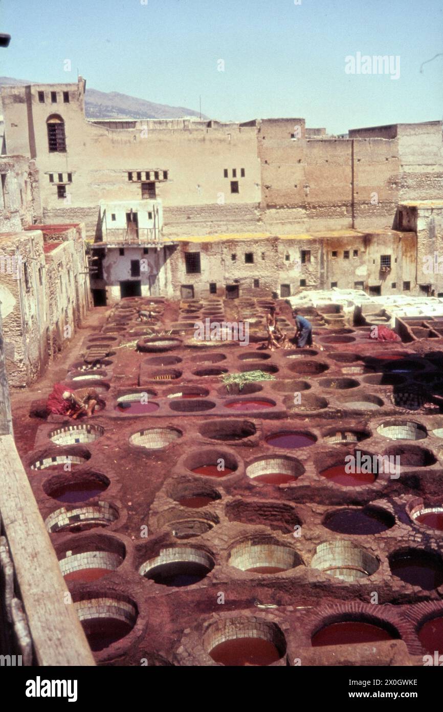 Men at work in the tanner quarter in Fez. [automated translation] Stock ...
