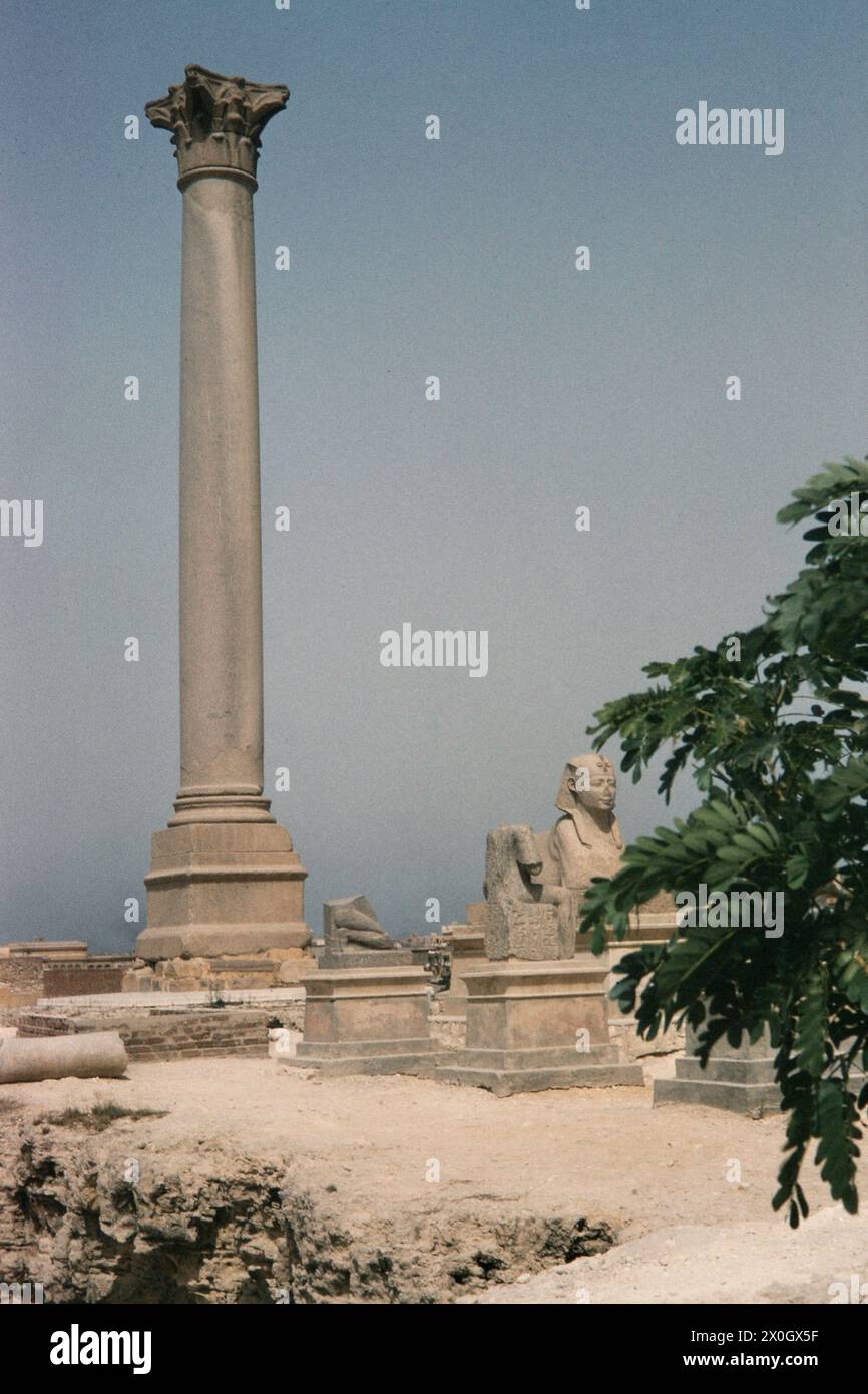 Pompeius column hi-res stock photography and images - Alamy