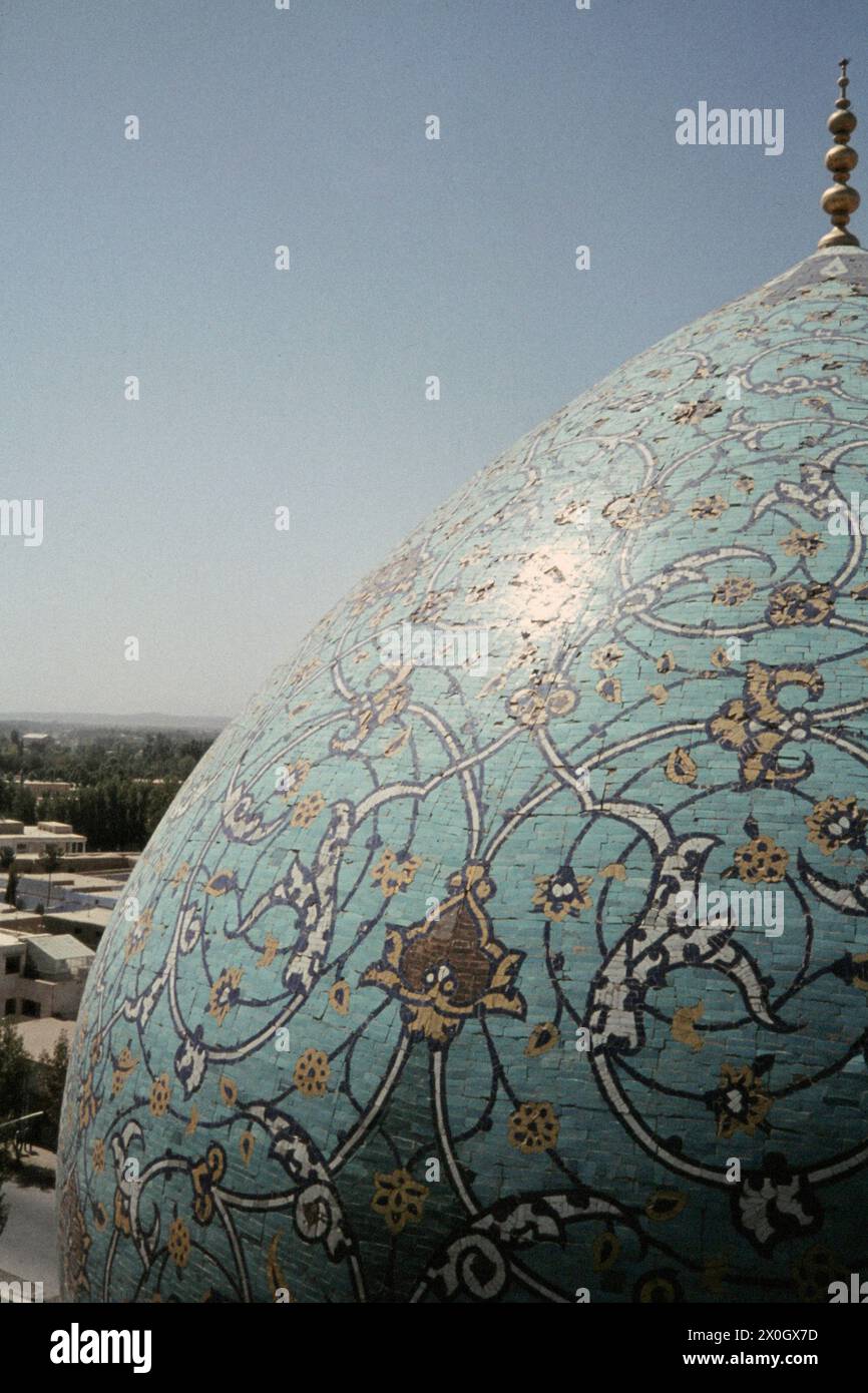 Madar i hi-res stock photography and images - Alamy