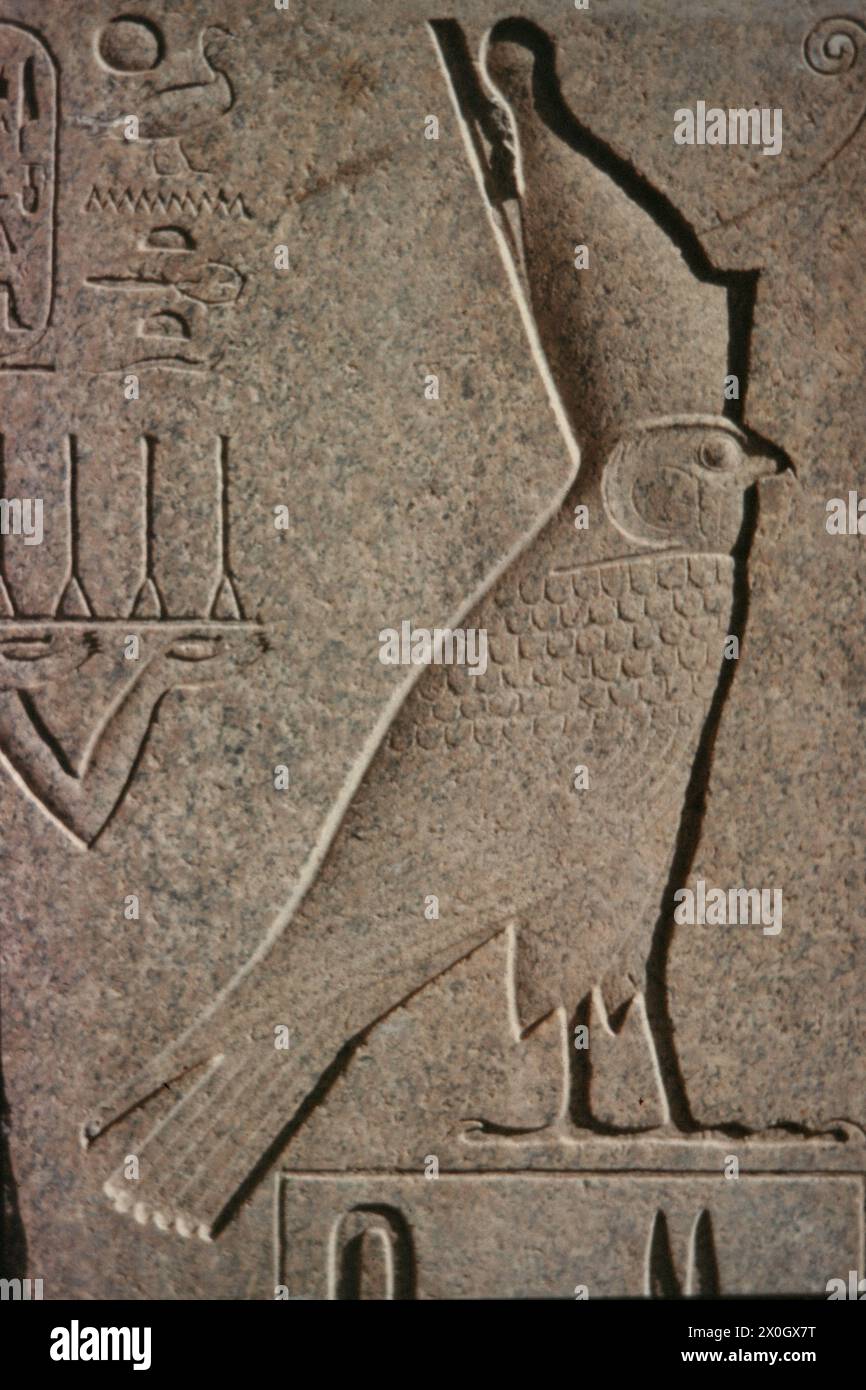 The relief of a Horus falcon on a wall in the temple complex of Deir el ...