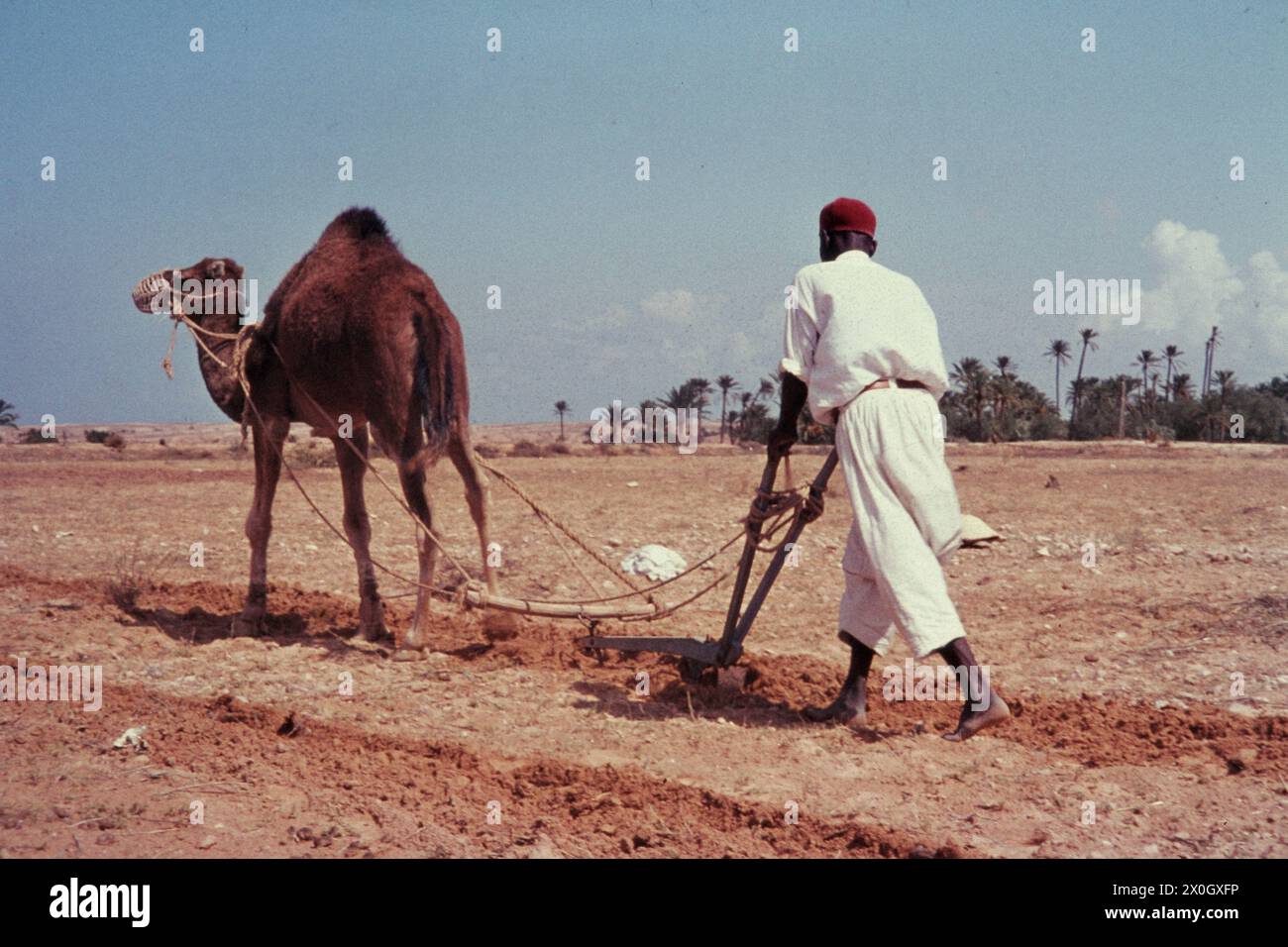 Farmer plow historic hi-res stock photography and images - Alamy