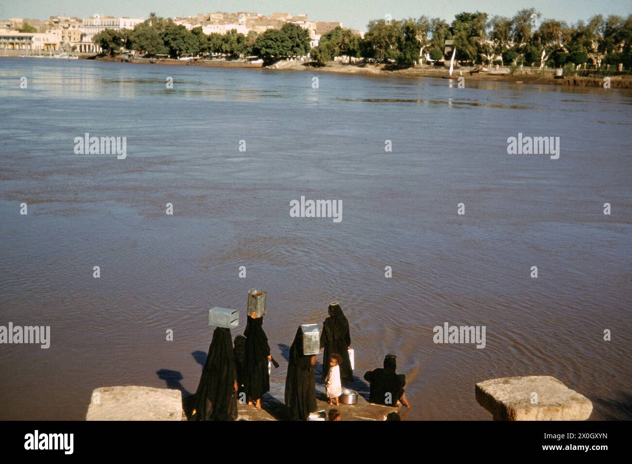 Egyptian women in black robes washing on the banks of the Nile island ...