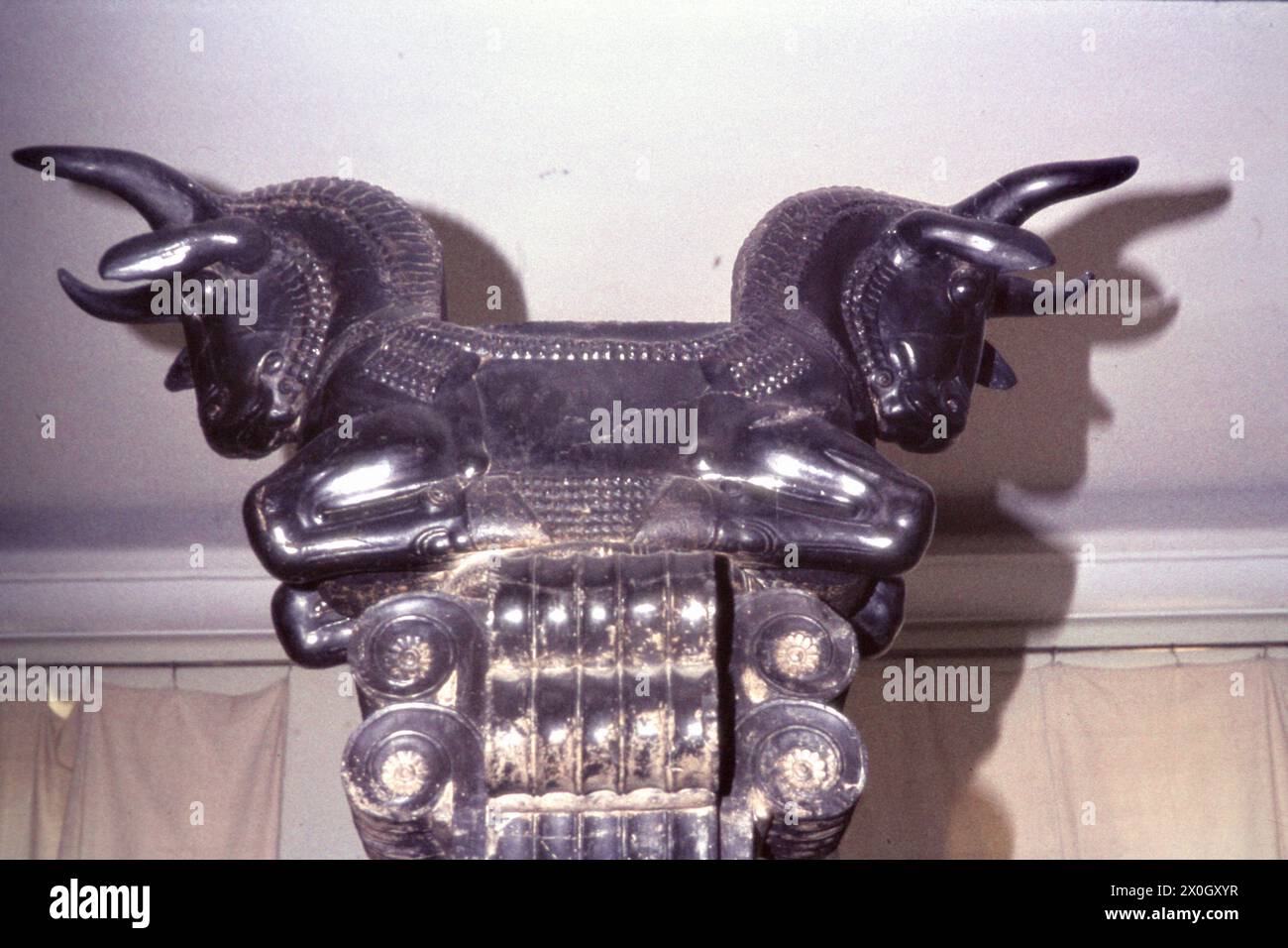 Sculpture and chapter of a two-headed bull from Persepolis in a museum ...