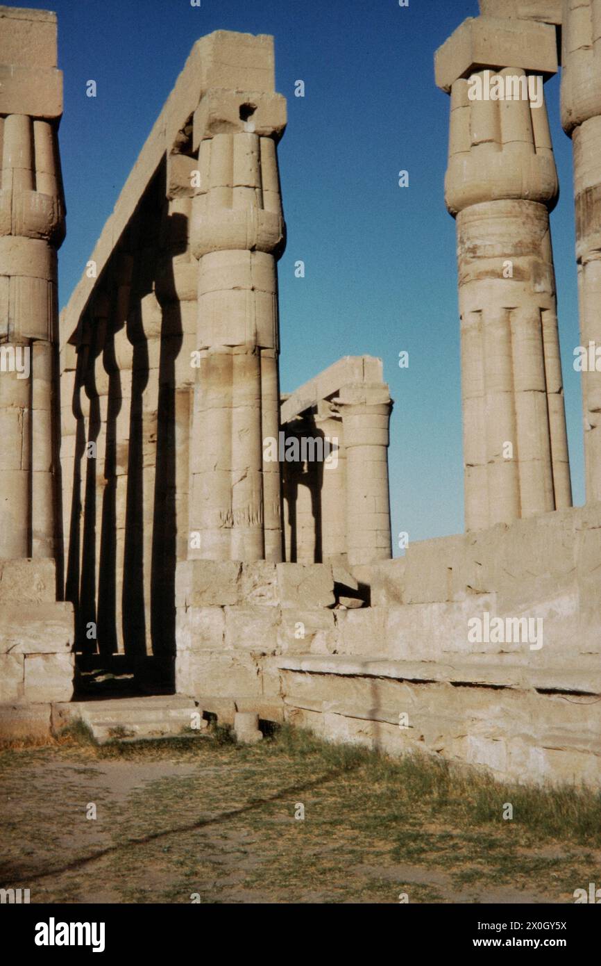 Rows of papyrus bundle columns in the courtyard of a temple in Luxor ...